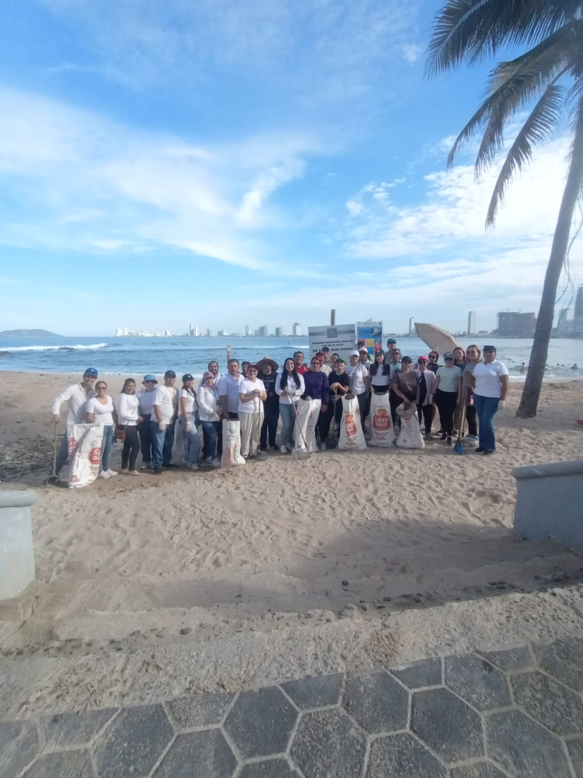 Reporte: (OAP) Gobierno de Mazatlán, actividad de limpieza de playa ...